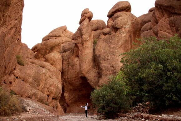 Monkey Toes - Chefchaouen Morocco Tours